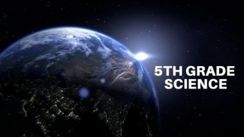 Homeschooling 5th Grade [Complete Guide+Competency Checklist]