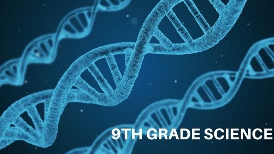 Homeschooling 9th Grade [Learning Objectives + Comprehensive Guide ...